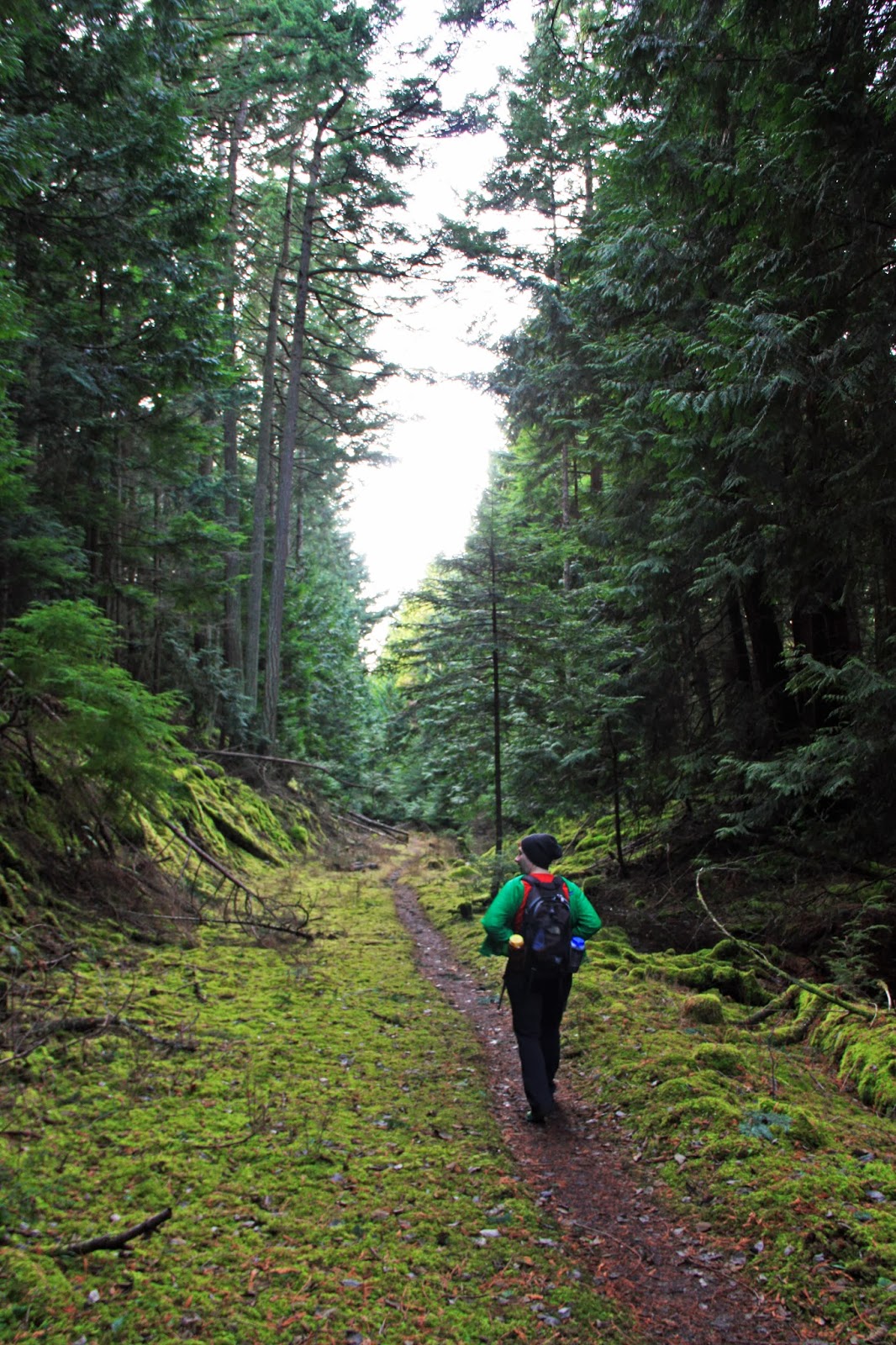 A is for Adventure: Turtlehead Trail at Turtleback Mountain Preserve ...