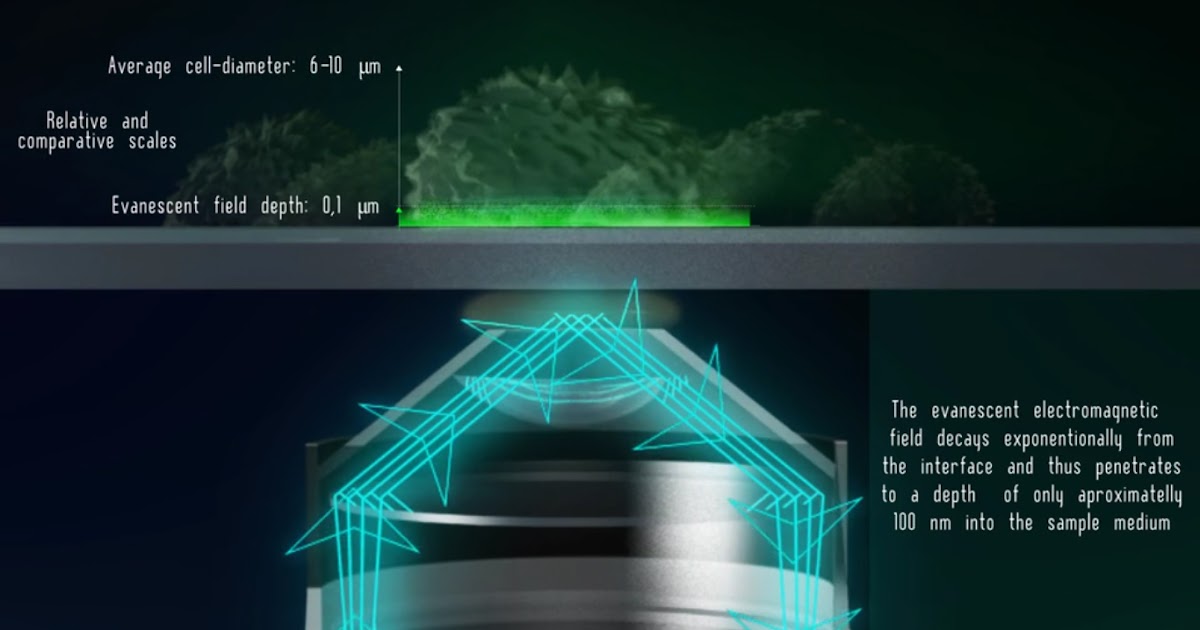 Total internal reflection fluorescence microscopy