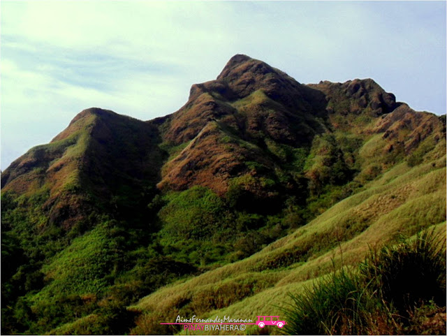 HikingBlahs#1: BATANGAS | MT. BATULAO: One of Beginner Mountain ...