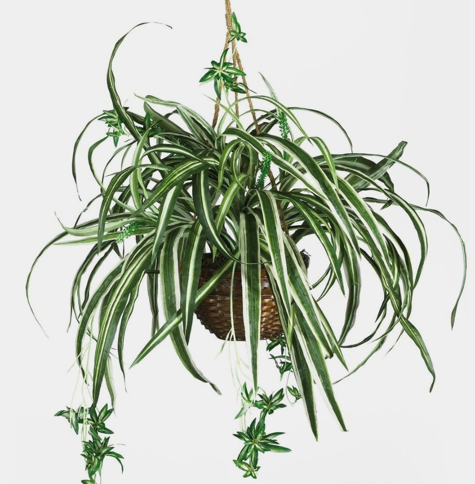 15 Idea Pokok Hiasan Tiruan Menyerikan Kediaman