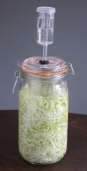 A Lacto Fermentation Kit Made With a Canning Jar | Root Simple