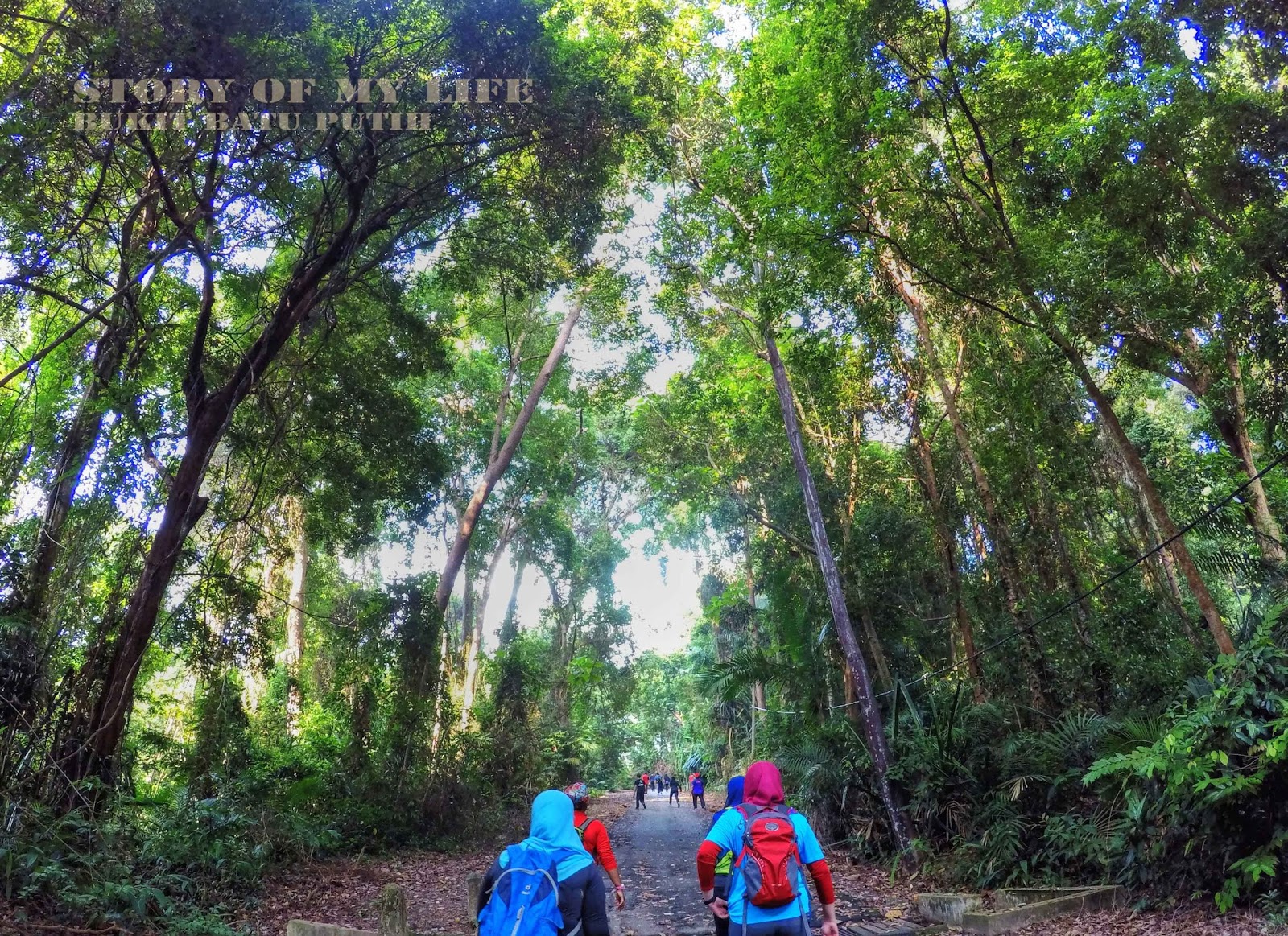 Story of My Life: Hiking @ Bukit Batu Putih
