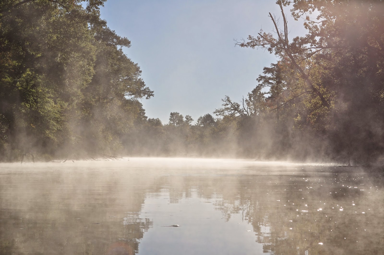 A Tidewater Paddler: Nottoway River, Peter's Bridge - 10/5/14