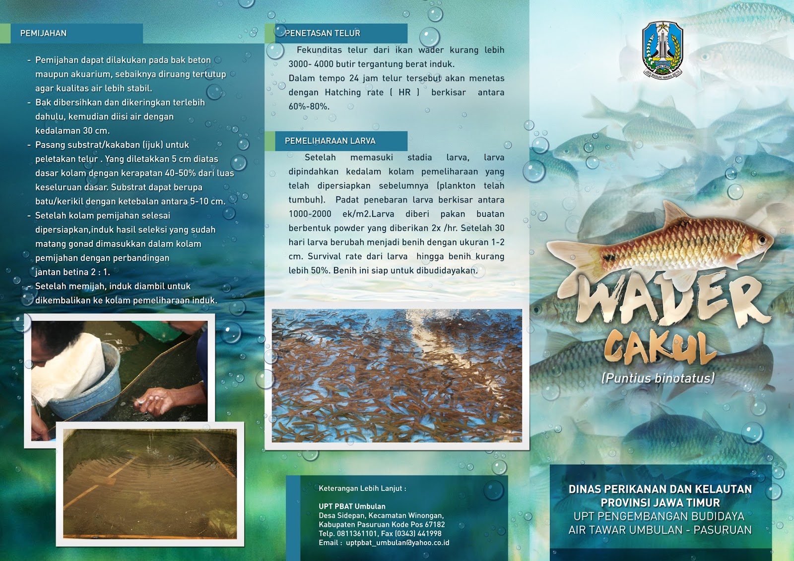 UPT LABORATORIUM KESEHATAN IKAN DAN LINGKUNGAN (UPT PBAT UMBULAN ...