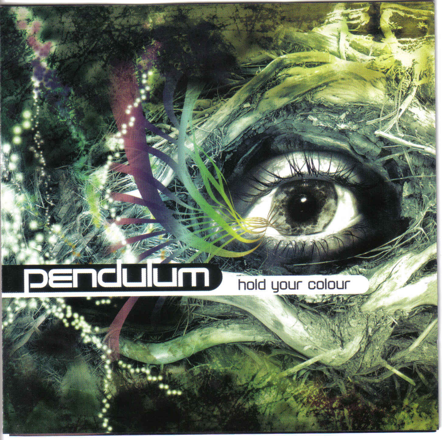 Fenix Scream !!!: PENDULUM - Hold Your Colour