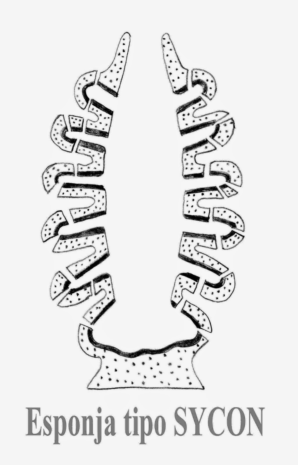 Biocomplejidad Trascendental: abril 2014