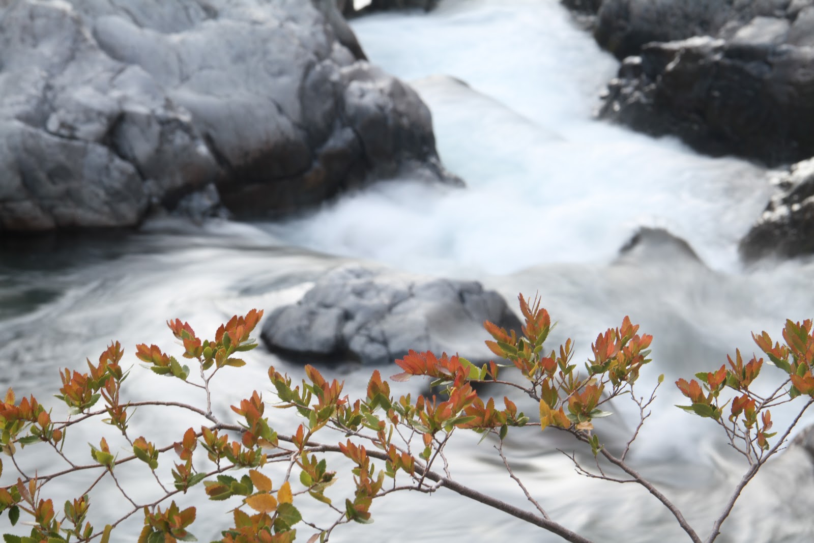 Creeking with Jake Greenbaum