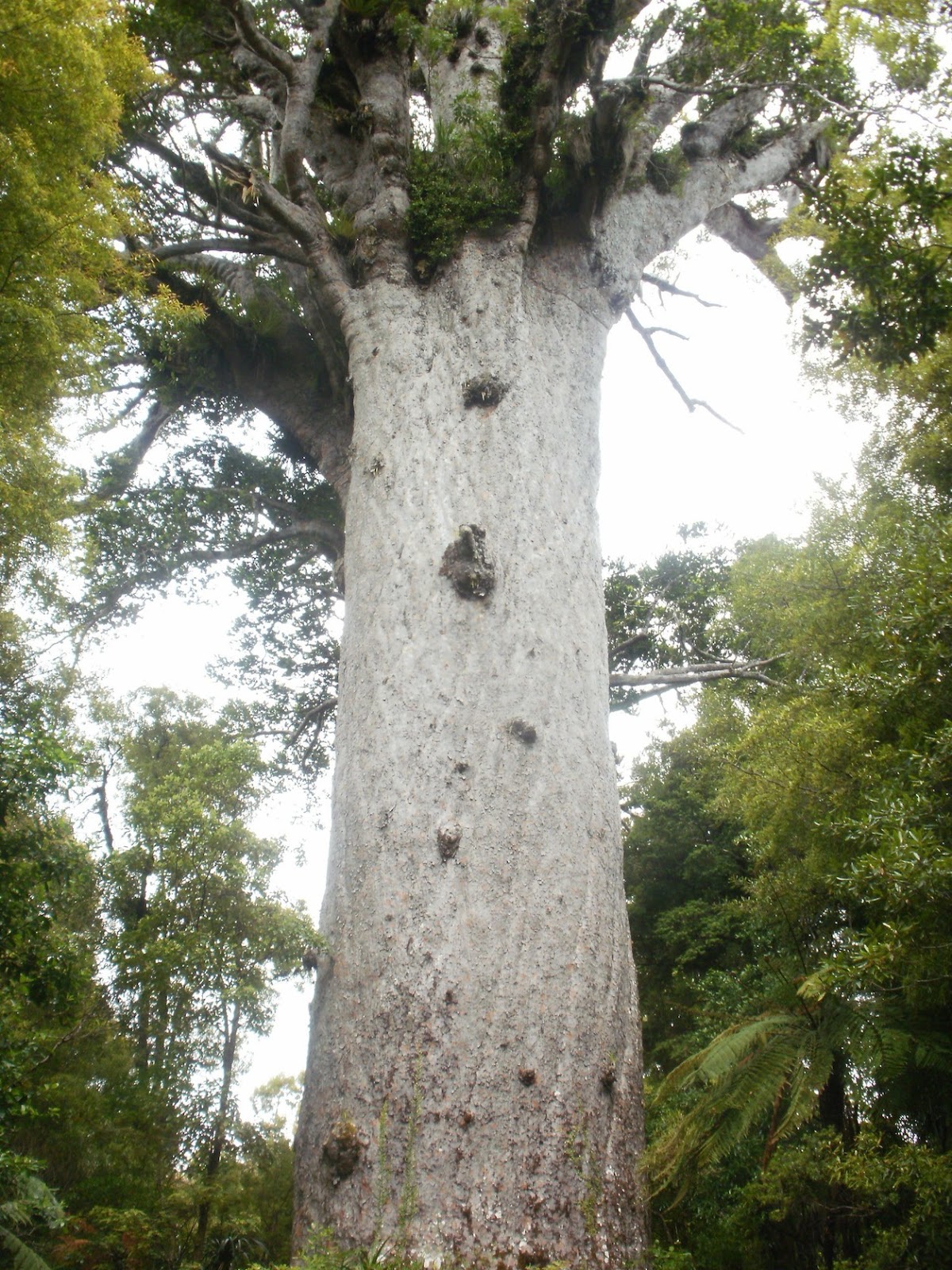 No direction home ... a complete unknown ... like a rolling luggager ...