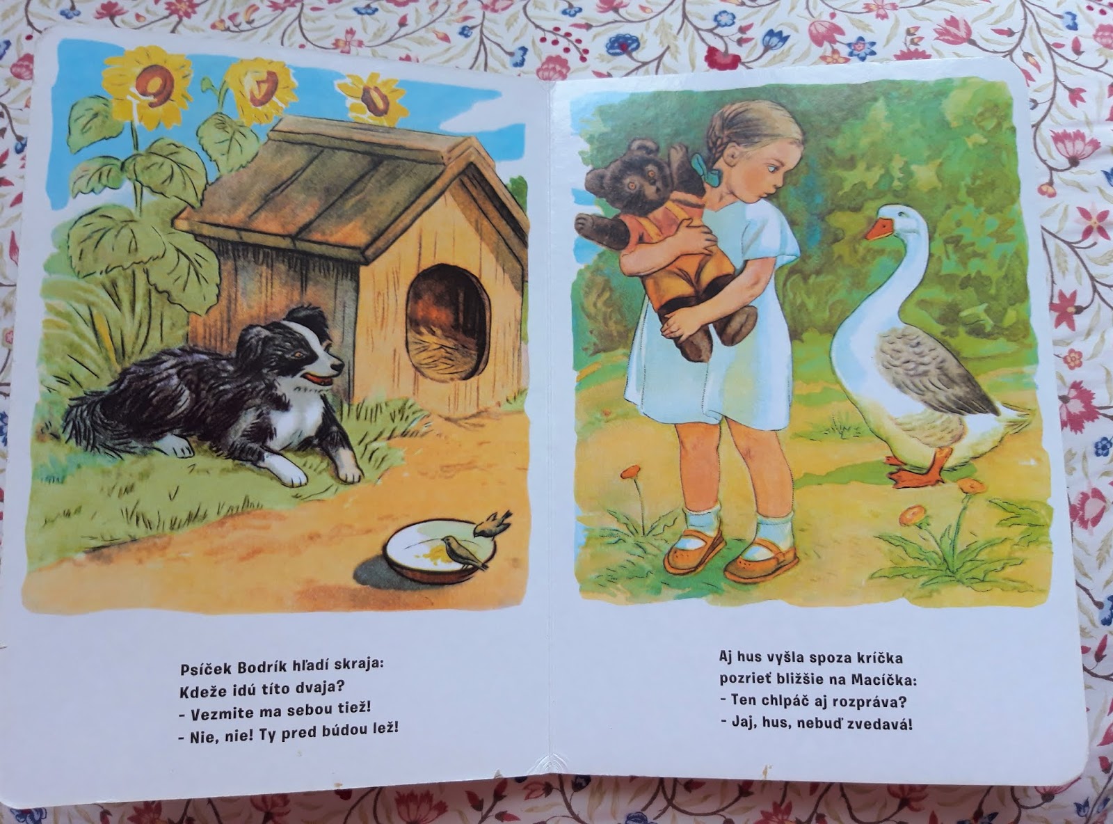 Knihovníčkin svet: Môj macík