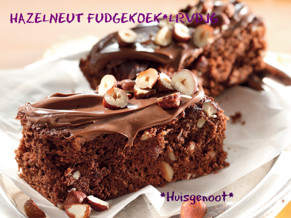LEKKER RESEPTE VIR DIE JONGERGESLAG: HASELNEUT FUDGE KOEK / HAZELNUT ...