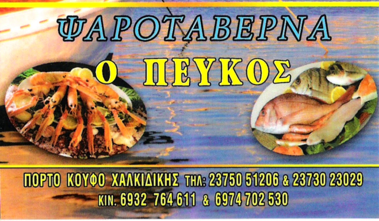 SHOP OF THE CITY: ΨΑΡΟΤΑΒΕΡΝΑ Ο ΠΕΥΚΟΣ , ΠΟΡΤΟ ΚΟΥΦΟ ΧΑΛΚΙΔΙΚΗΣ