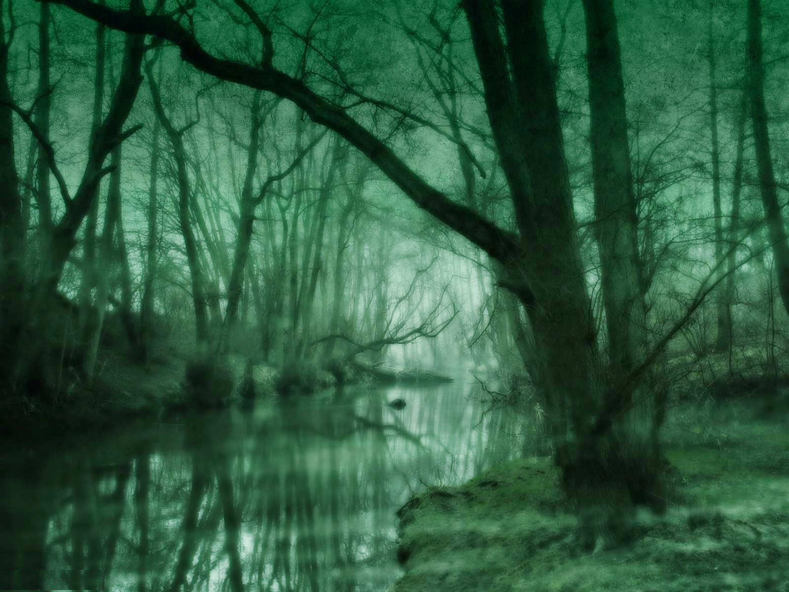 Dark Swamp HD (high definition) Wallpapers - 1 ~ Amazing World Gallery
