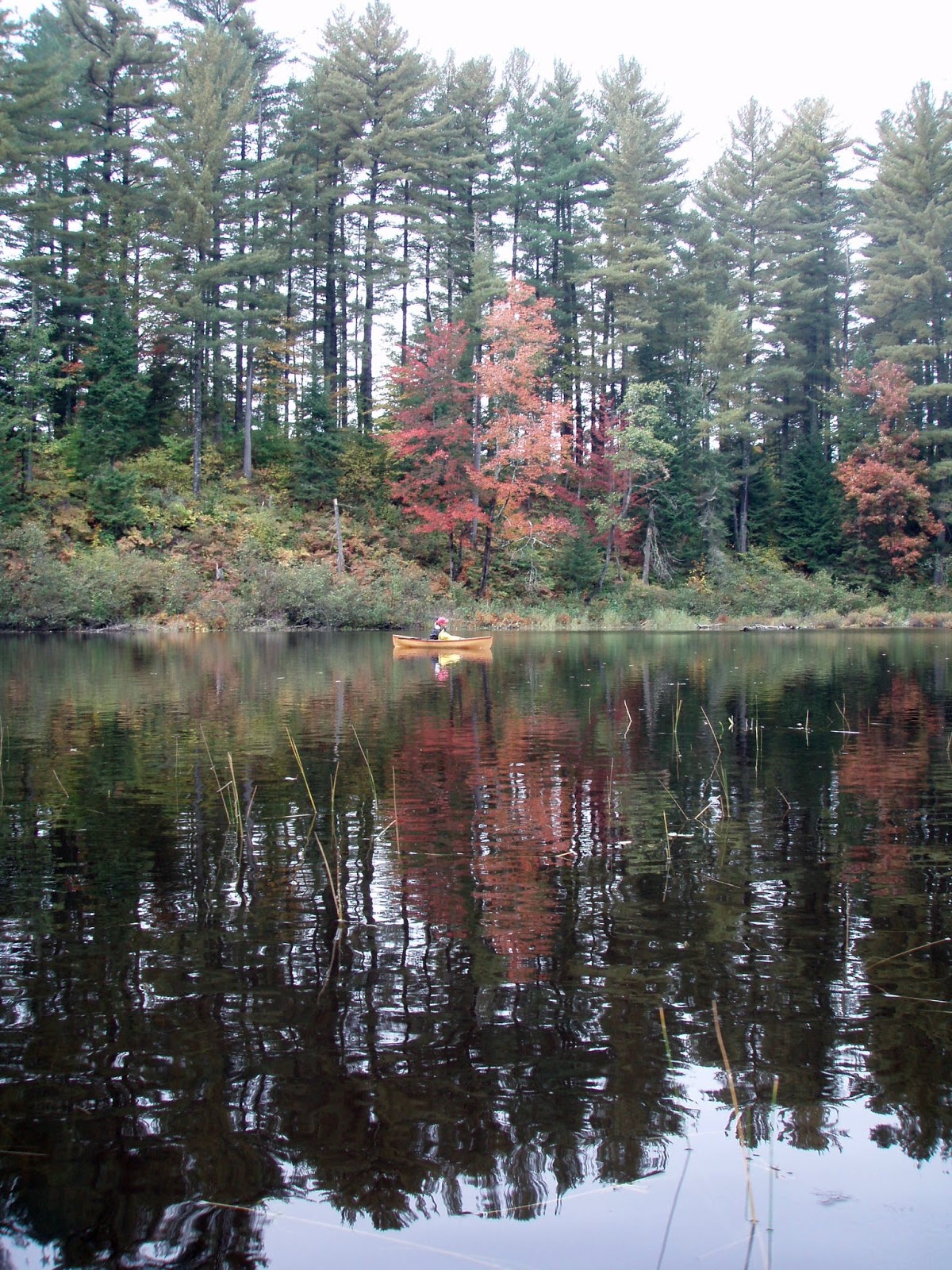 OSGOOD RIVER & OSGOOD POND paddling, camping