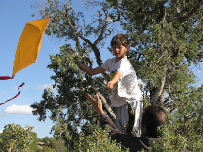 Cathedrals and Crocodiles: Kite Eating Tree