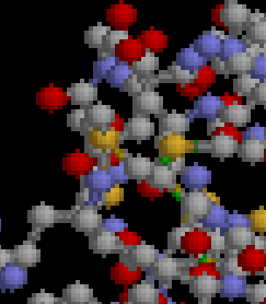 Principles of Protein Structure: Molecular Graphics: Before and Beyond Jmol