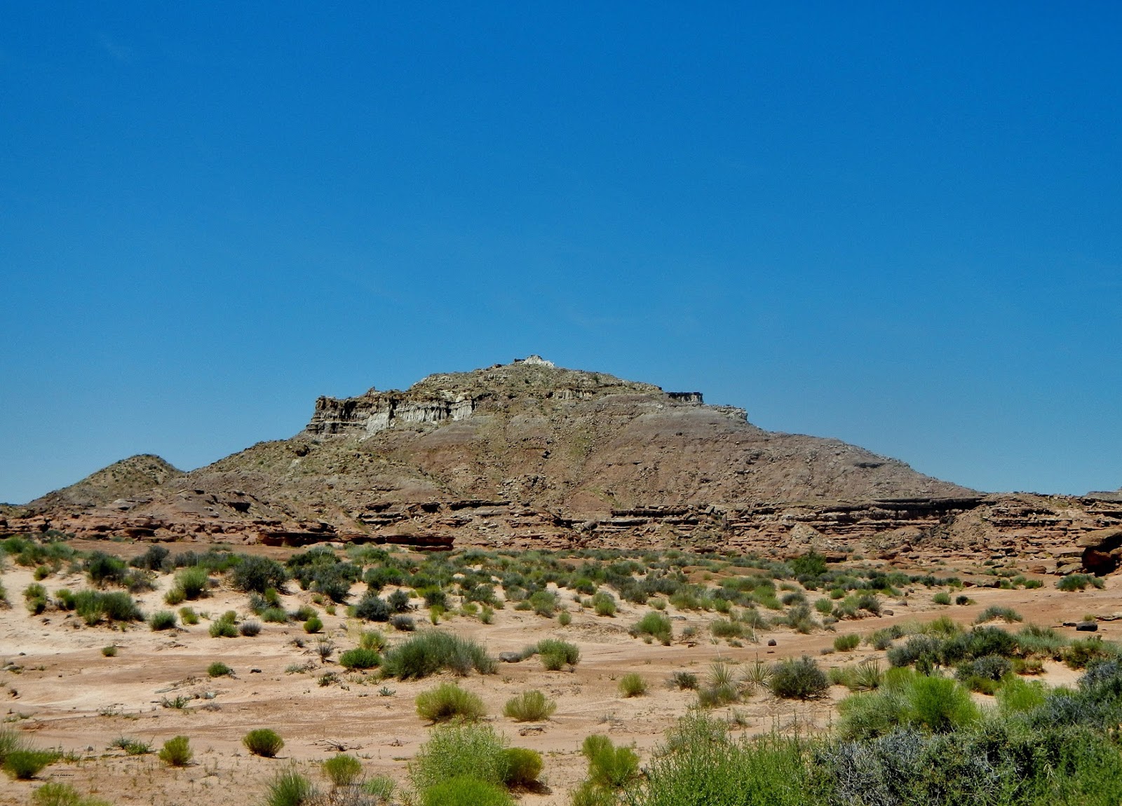 The Southwest Through Wide Brown Eyes: Recapture Pocket, a Hoodoo ...