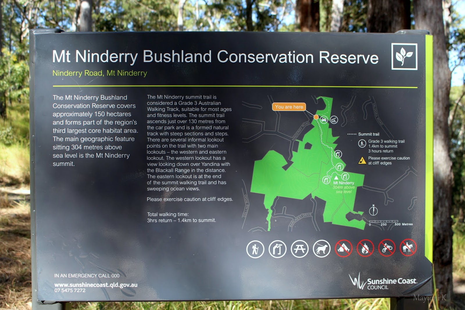 ブッシュウォーク Mt. Ninderry - SUNSHINE SPIRIT