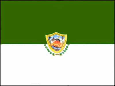 CLIZA COCHABAMBA BOLIVIA: BANDERA DE TOCO