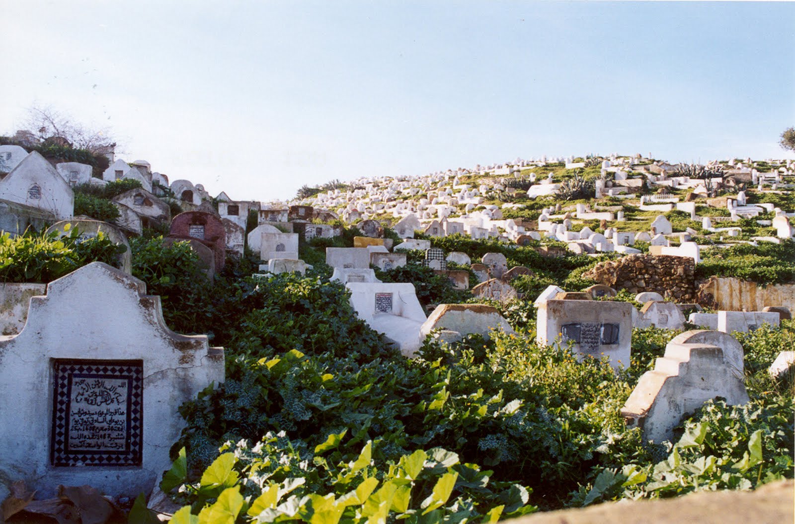 Le Città Invisibili: 34. ADELMA