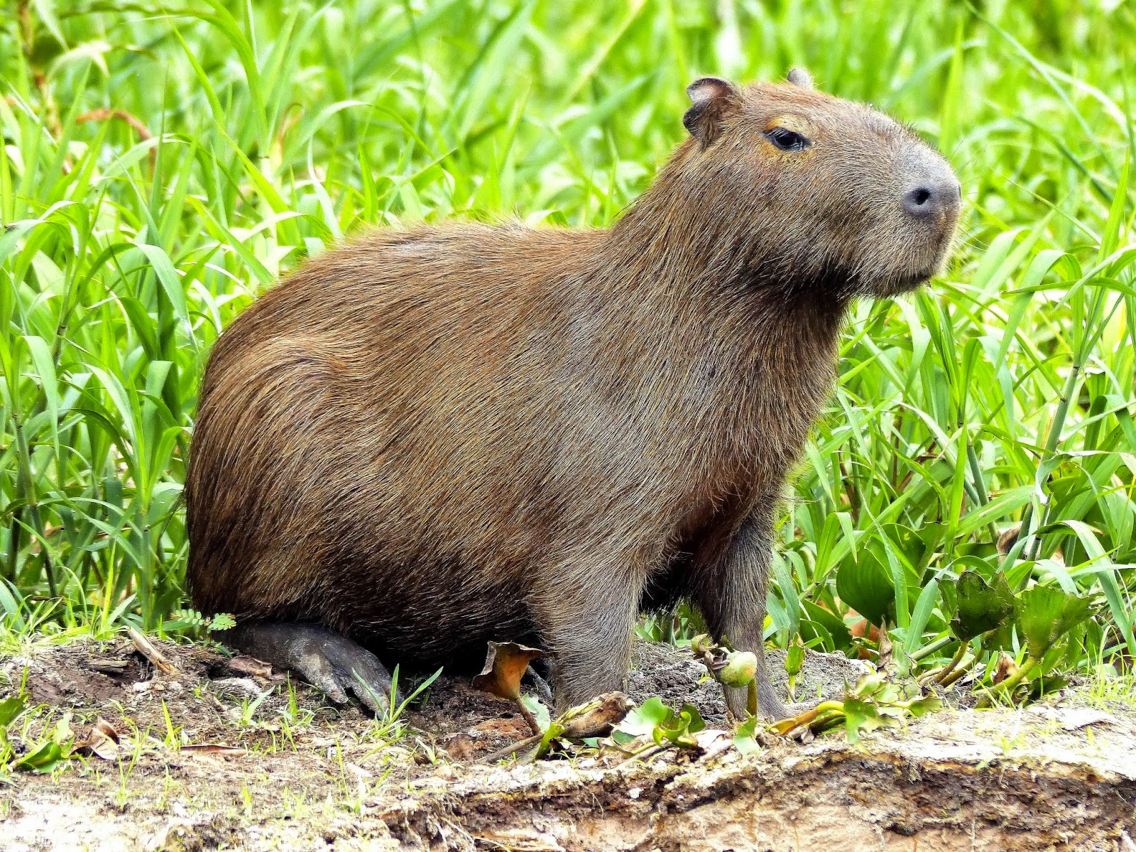Paddling off the beaten path
