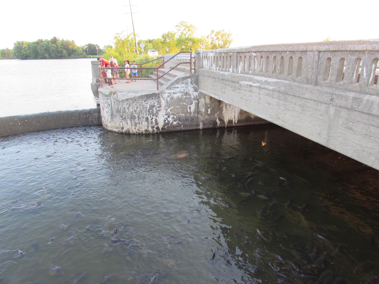 Sightseeing at Pymatuning State Park | Interesting Pennsylvania and Beyond