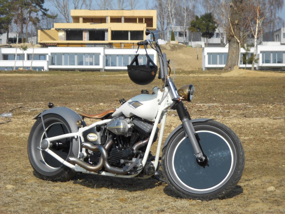 biker excalibur II: Gray Bobber by BT Choppers
