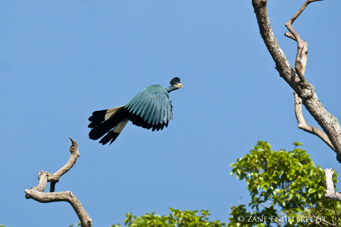 Photography Workshops