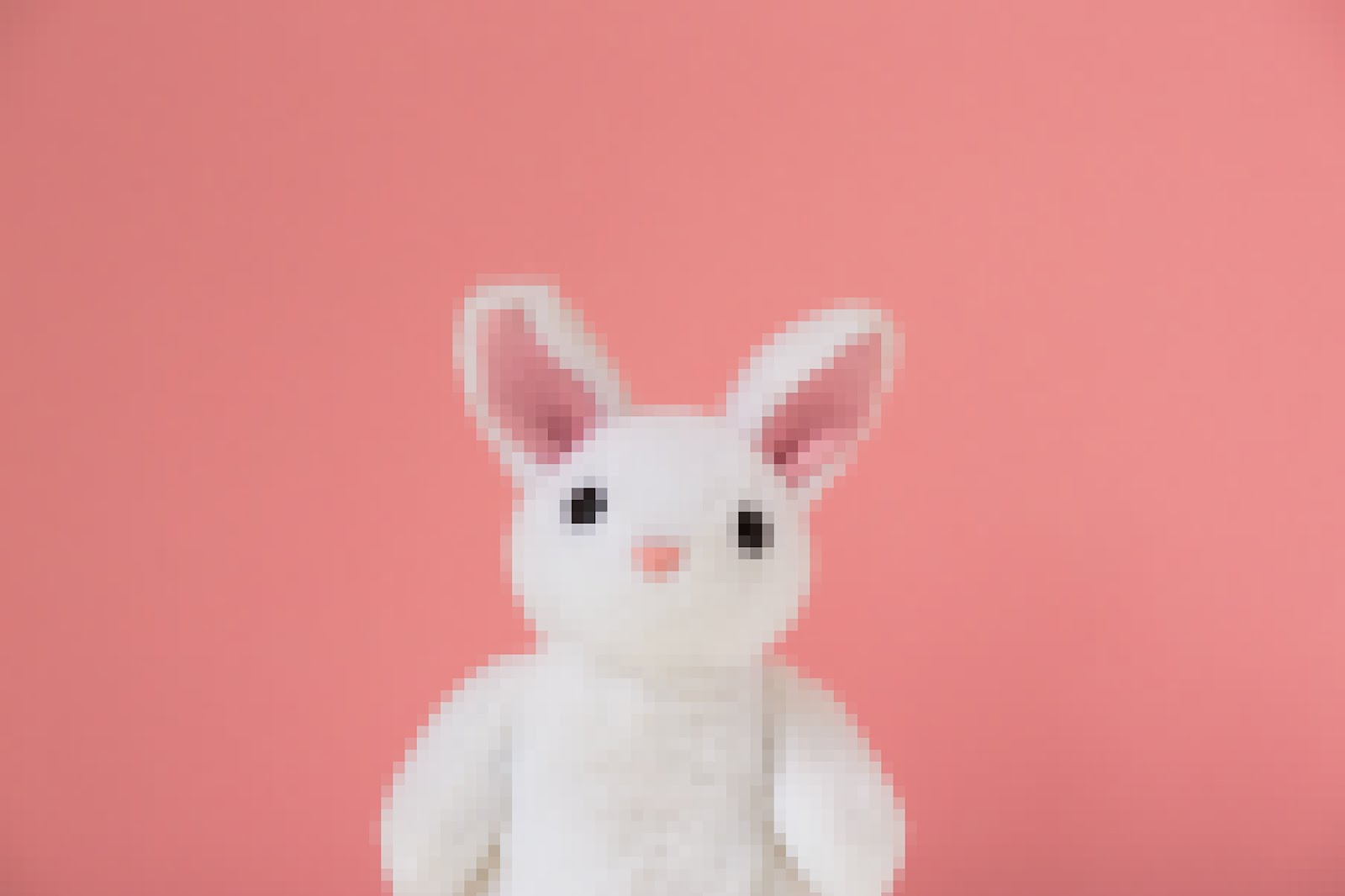 Loading . . . - Mia Rabbit