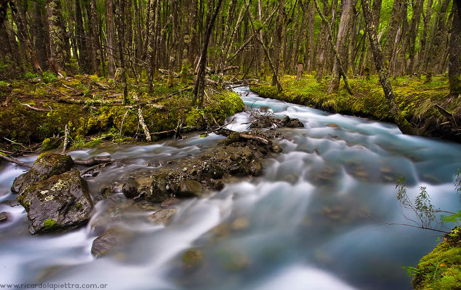 The Most Beautiful Rivers In The World ~ Diana's Things
