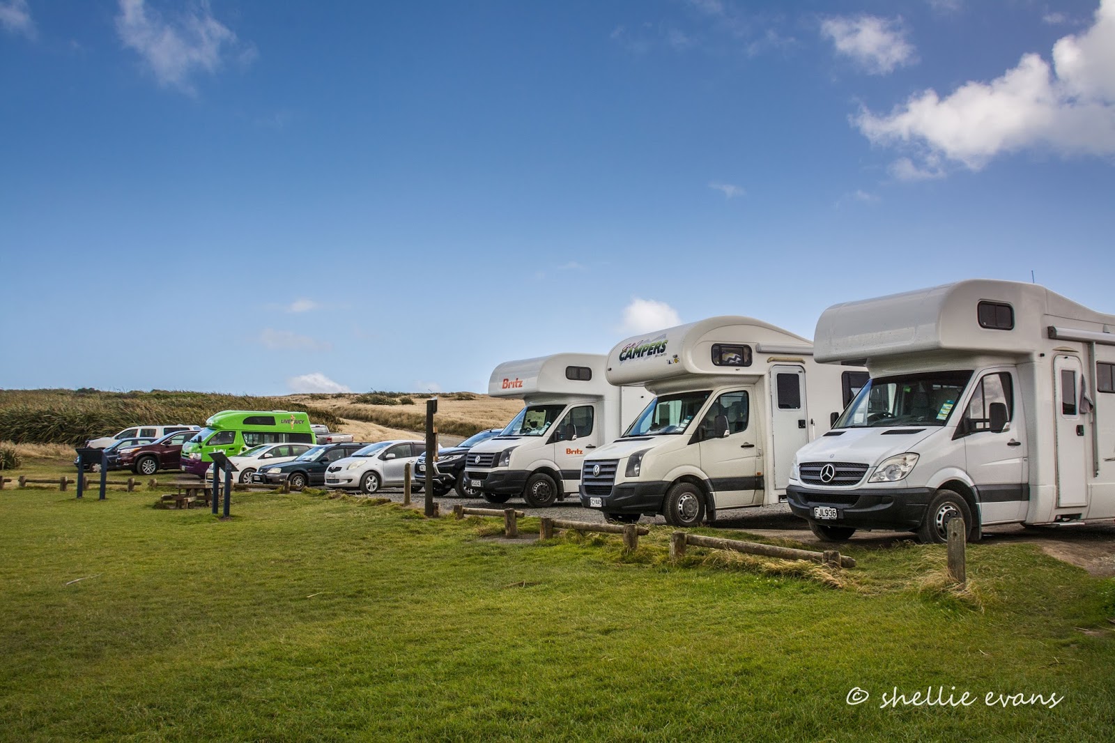 Two Go Tiki Touring: January 2017