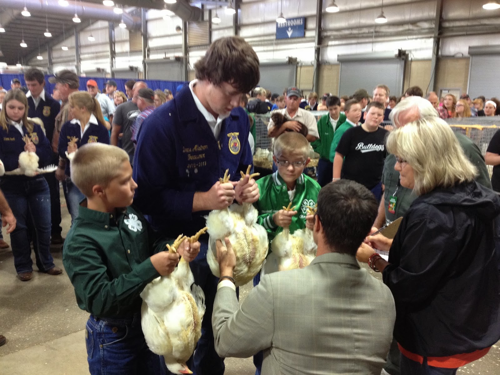 A Building We Shall Go!: Showing Broiler Chickens