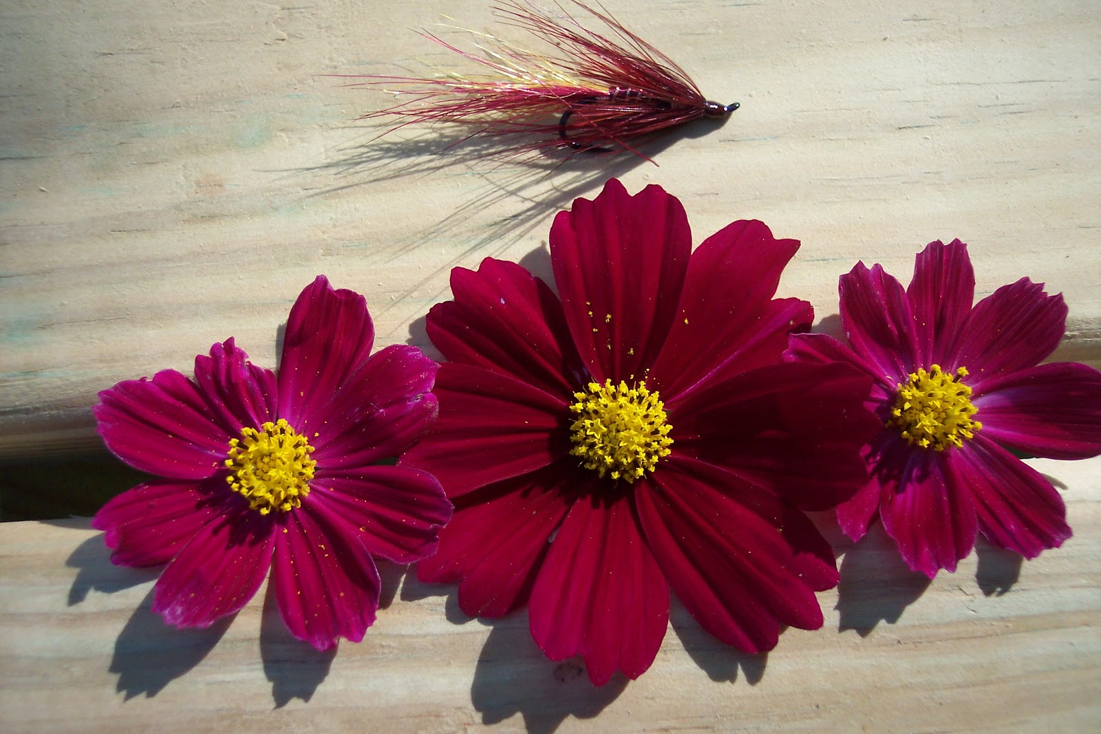 The River's Course: Shades of Claret