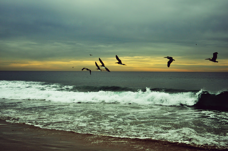 .: Robin Waters photography