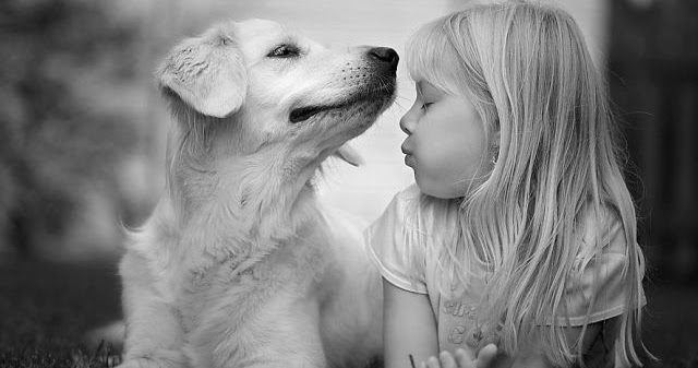 Animal Communication For Children: Animal Communication for Children ...