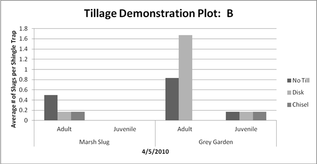 Slug Management and Options- – Lebanon Crop Management