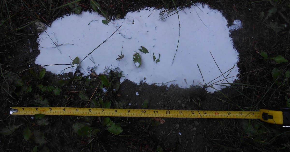 RMSO Bigfoot: Snow Print Wax is a good product to cast Bigfoot tracks ...