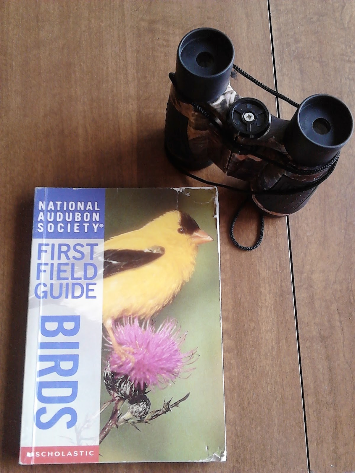 Diligence in our Home: Nature Study