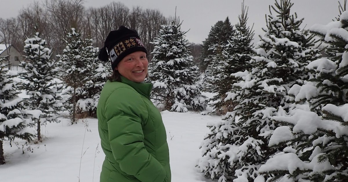 The Continuing Adventures of Eric, Noelle and Sierra: The Grunwald ...