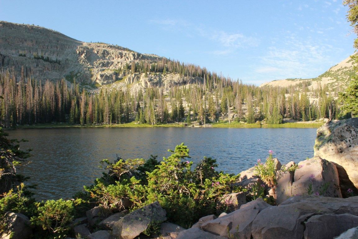 Smaug's Musings: Shane Roe's Writings: Great hiking and fun fishing in ...