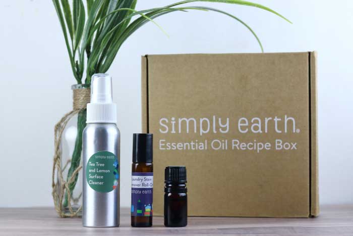 Simply Earth Recipe Box Review + 3 DIY Natural Home Recipes ...