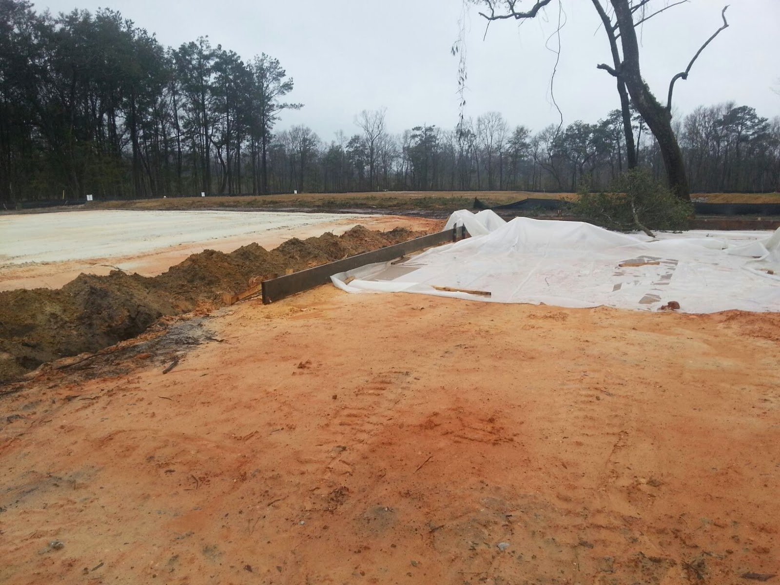 Building a Foundation