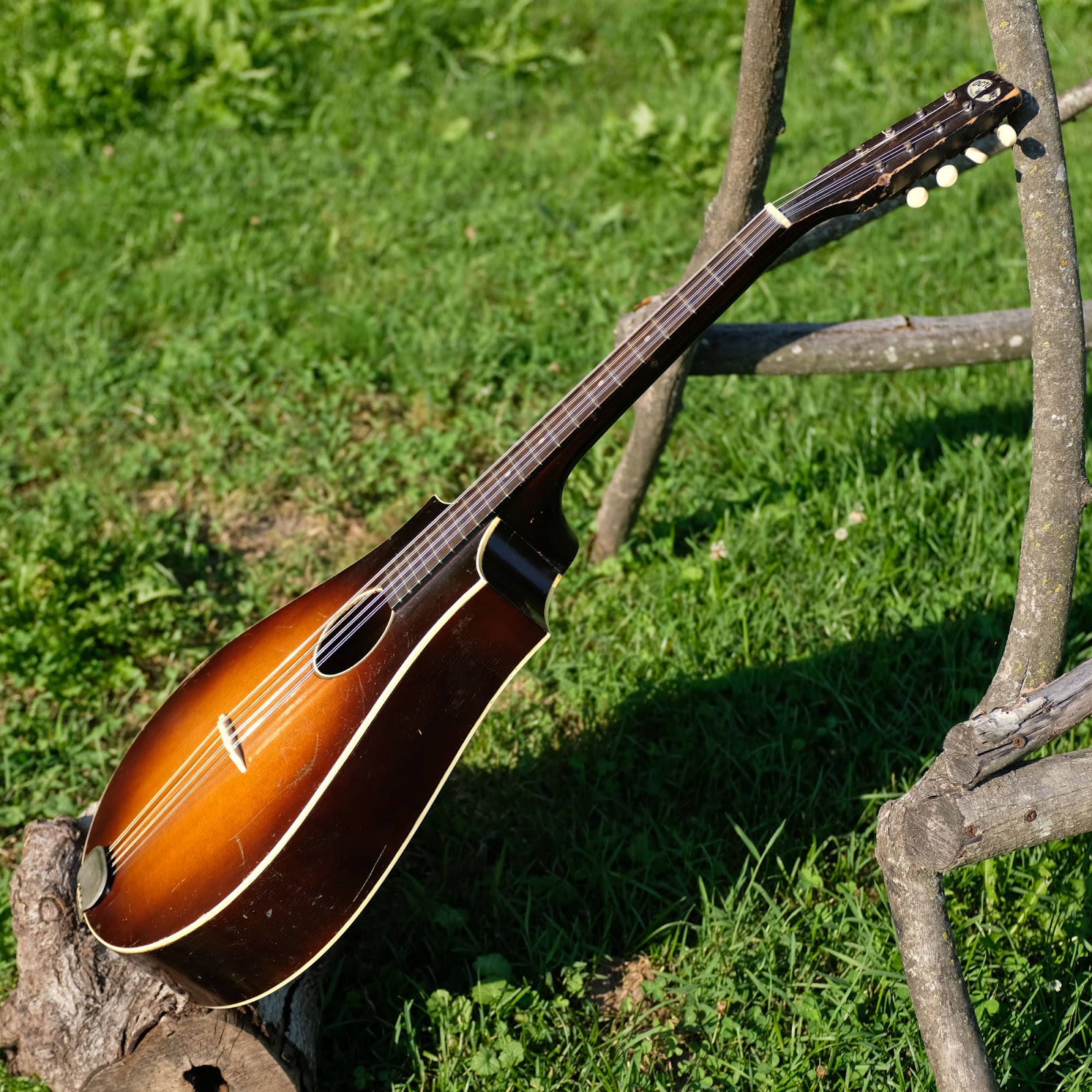 1930s Regal Octofone Octave Mandolin/8 String Tenor Guitar