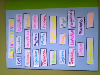 Made in England: Foldables for Science