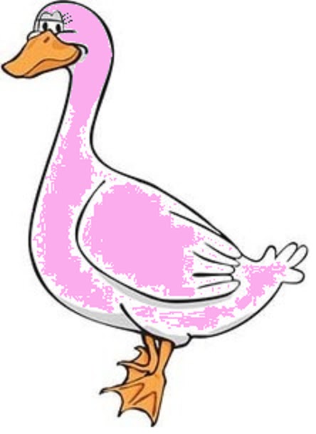 La Gansa Rosa: La Gansa Rosa