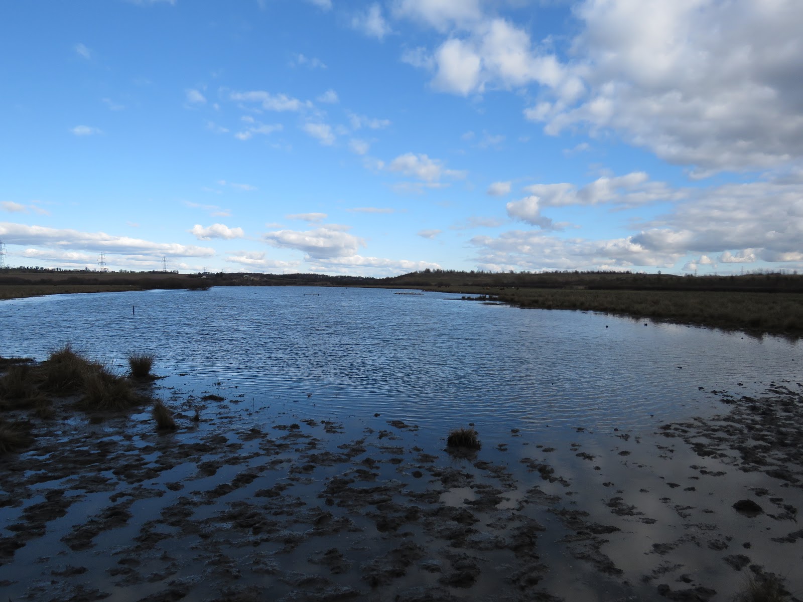 Wild at Hull: A day at Fairburn Ings