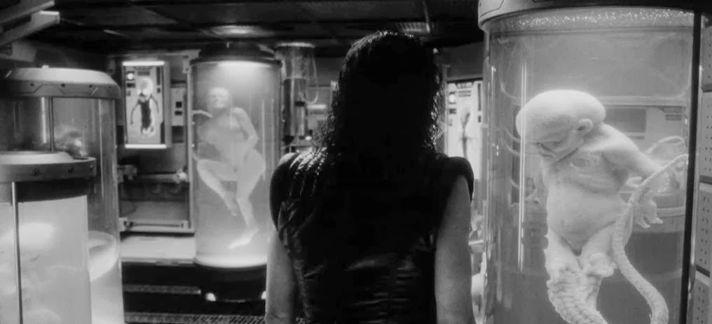 The Hannibal lecters Society