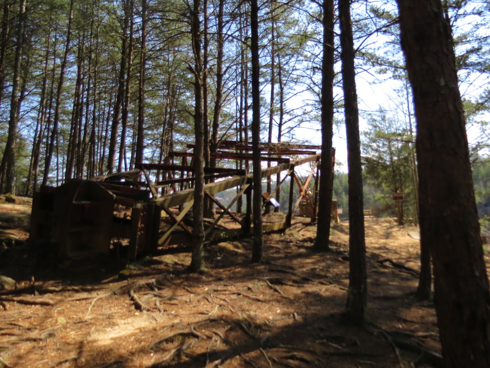 Where's Liz-2013?: Tallulah Gorge