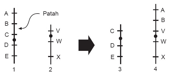 Belajar Matematika Simpel: Pintar Pelajaran Pengertian Mutasi Gen Dan ...