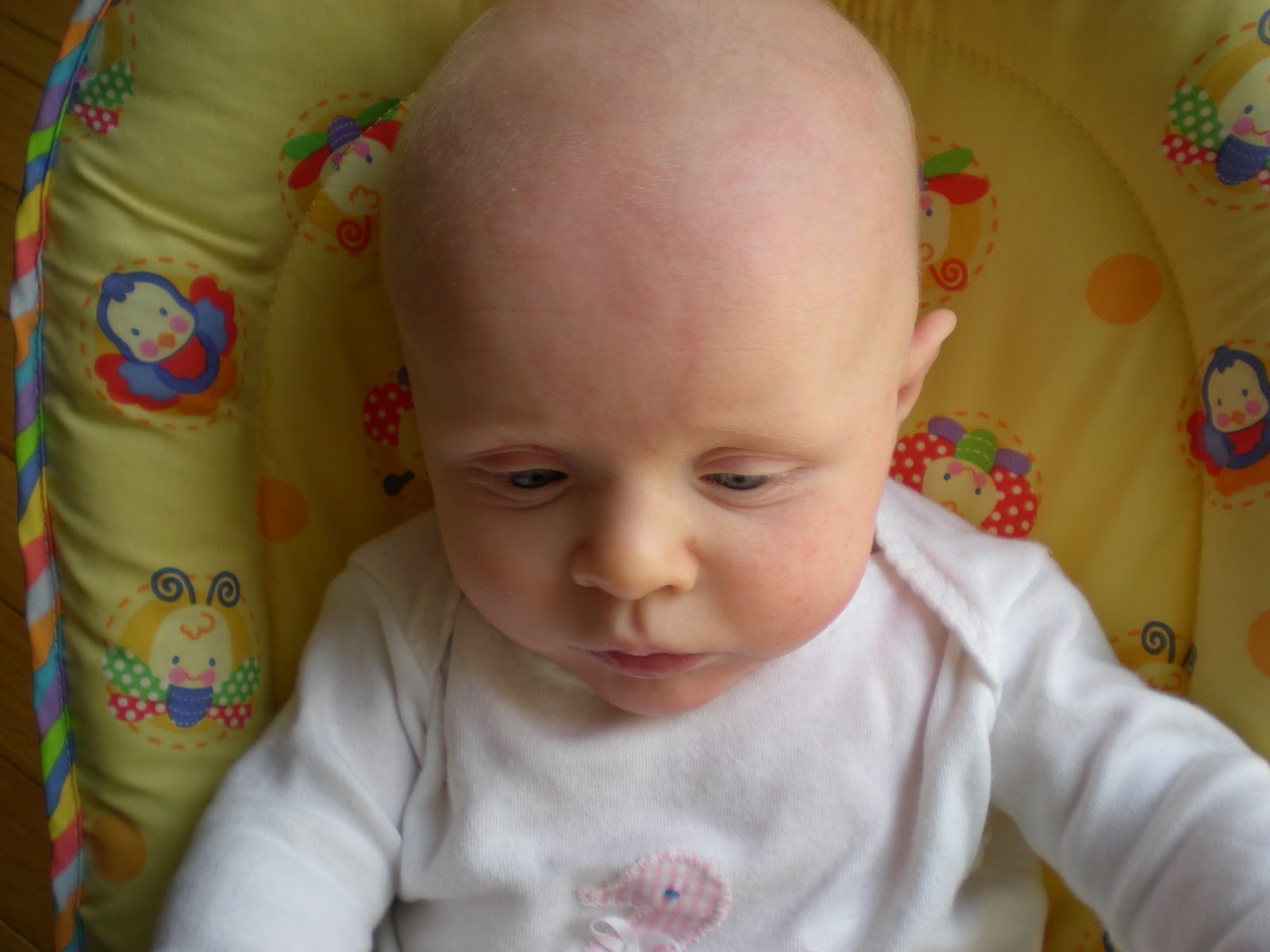 The Berry Flock: Evelyn and Her Bluebird