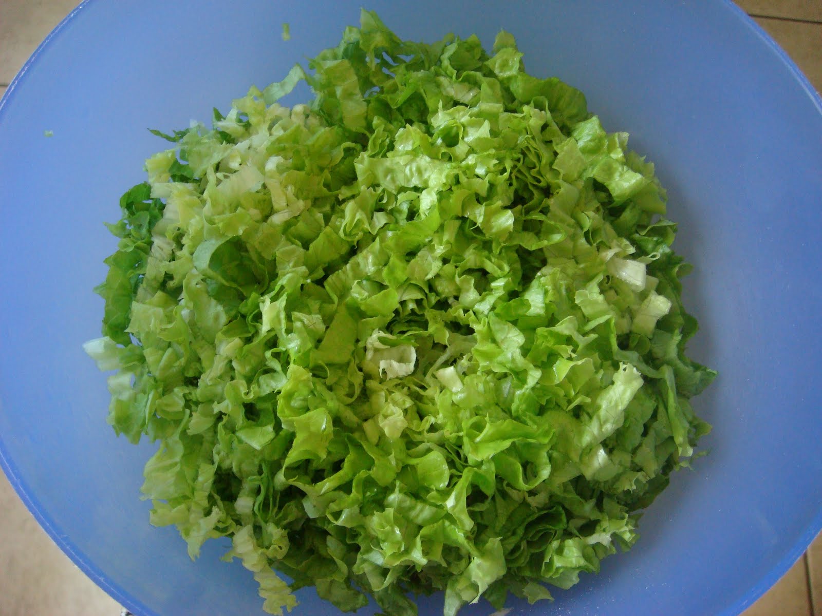 Receitinhas da Tere: Salada de alface e tomate